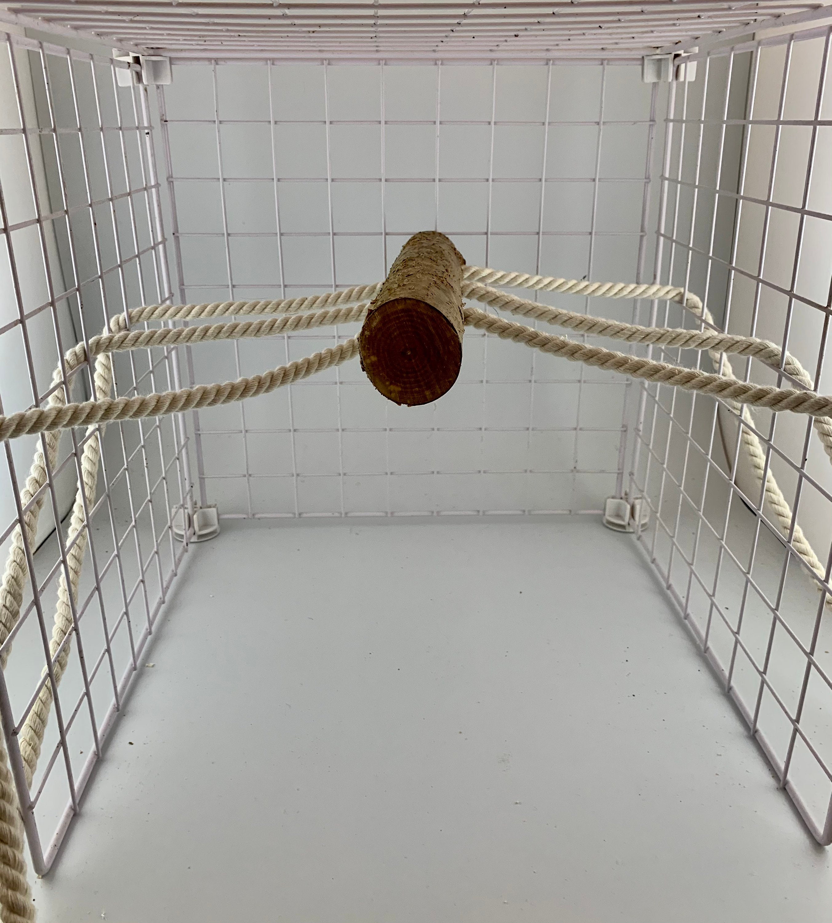 Large Chunky wood Pet Perch for cage Pet Rat toy accessories | Etsy