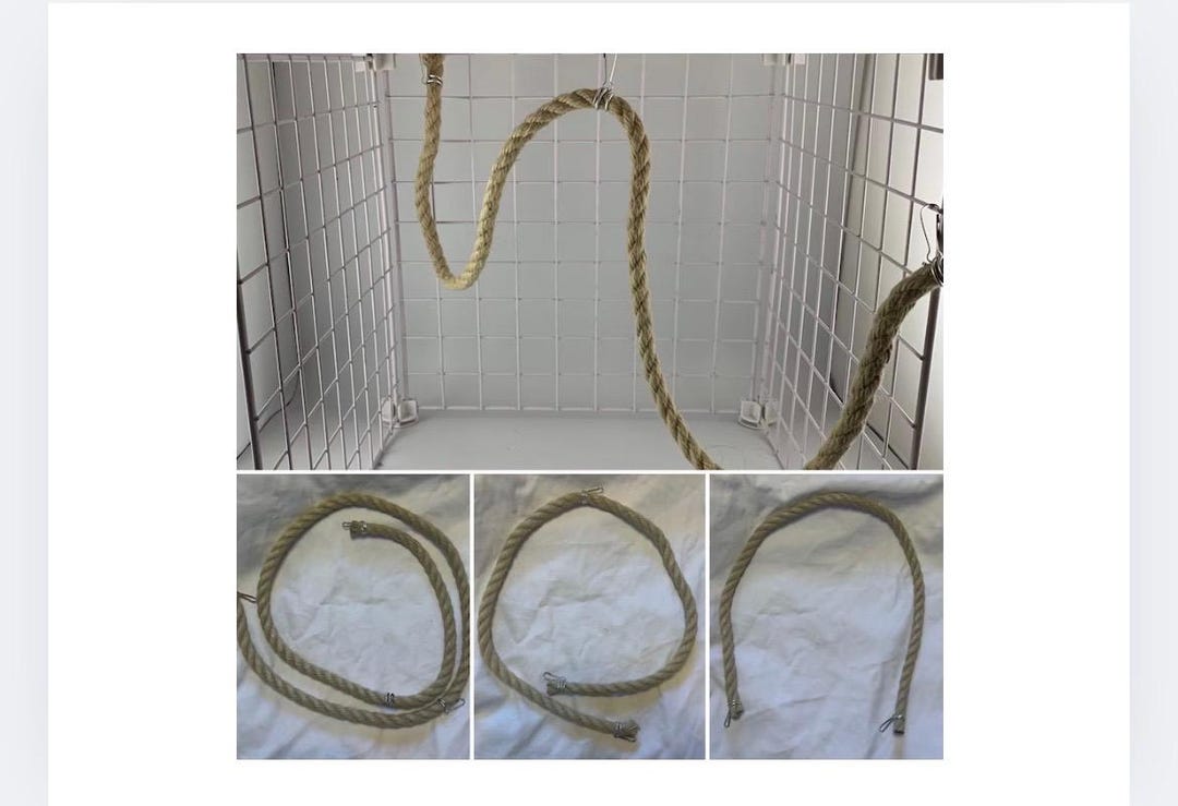 Natural Rope for Cage Suitable for Rat, Hamster, Mice, Degas, Birds ...