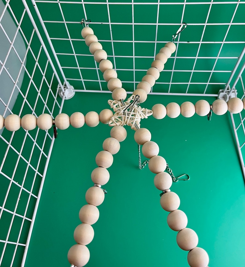 Nova Activity Rat Toy Perch for Cage - Etsy