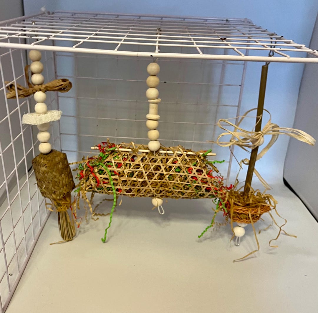 Foraging Pet Toy Set, Rats, Parrots, Birds, Mice, Guinea Pigs, Pet Toys ...