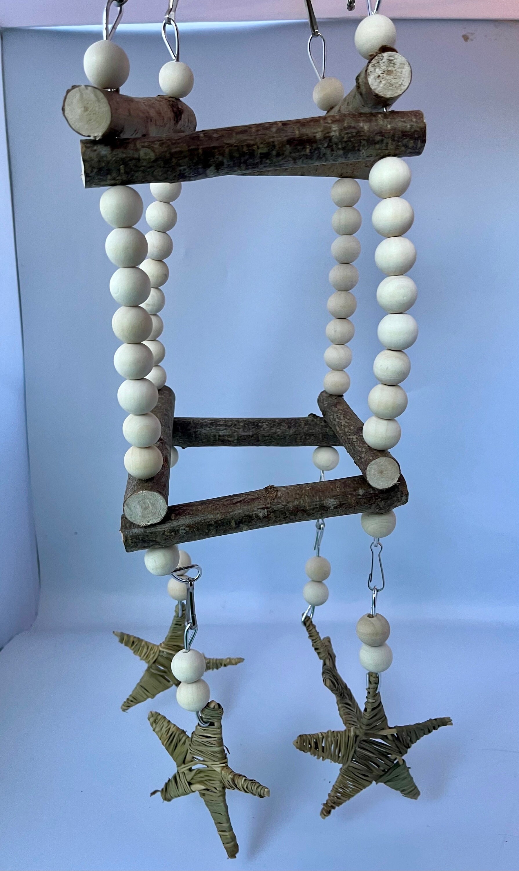 Hazel Hanging Activity Cube Rat Perch - Etsy