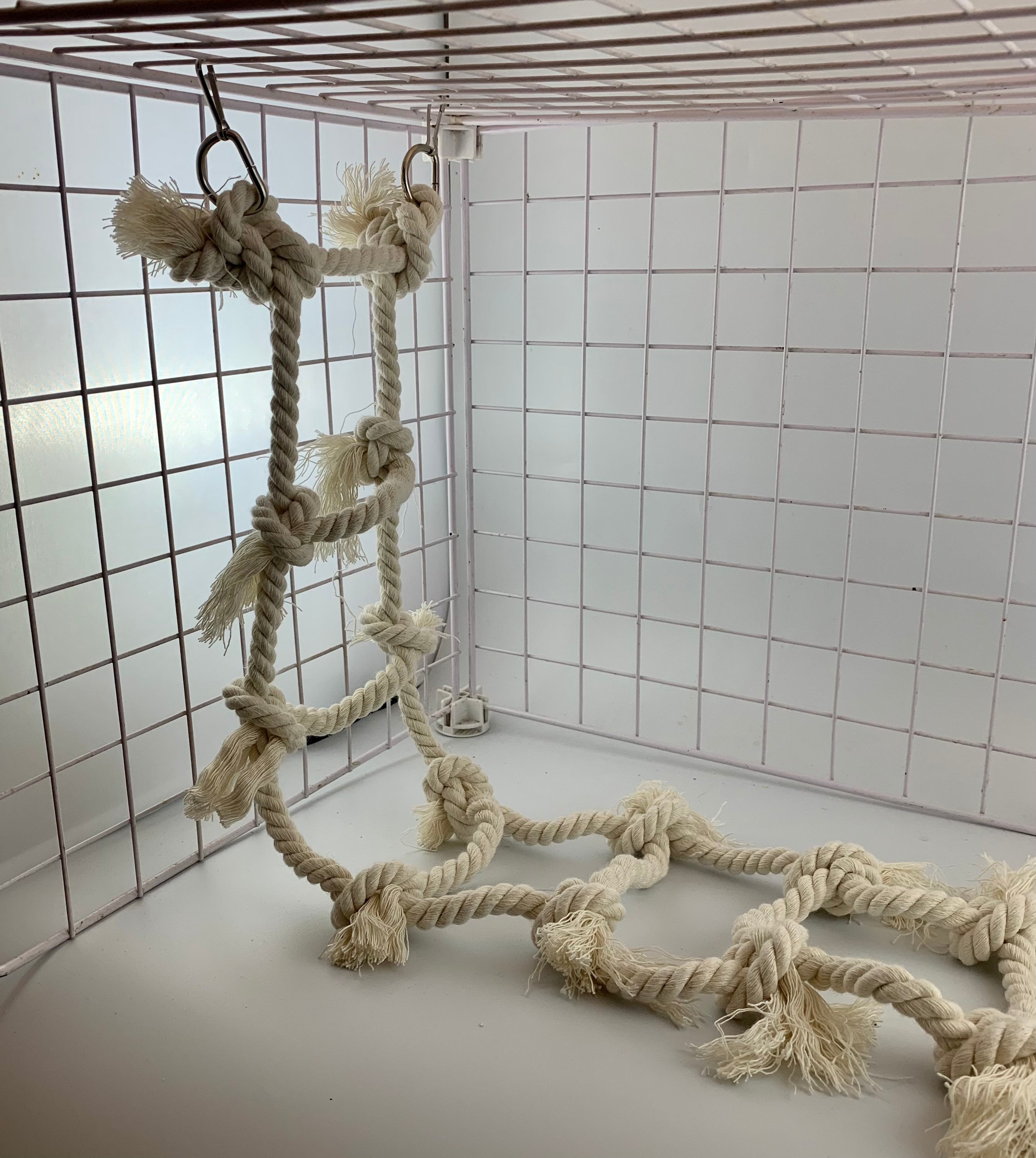 Pet Rope Ladder for Cage Pet Rat Toy Accessories Climbing | Etsy