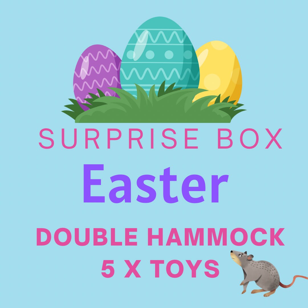 Easter Theme Rat Surprise Box, Toy and Double Hammock Set, Rat Mystery ...