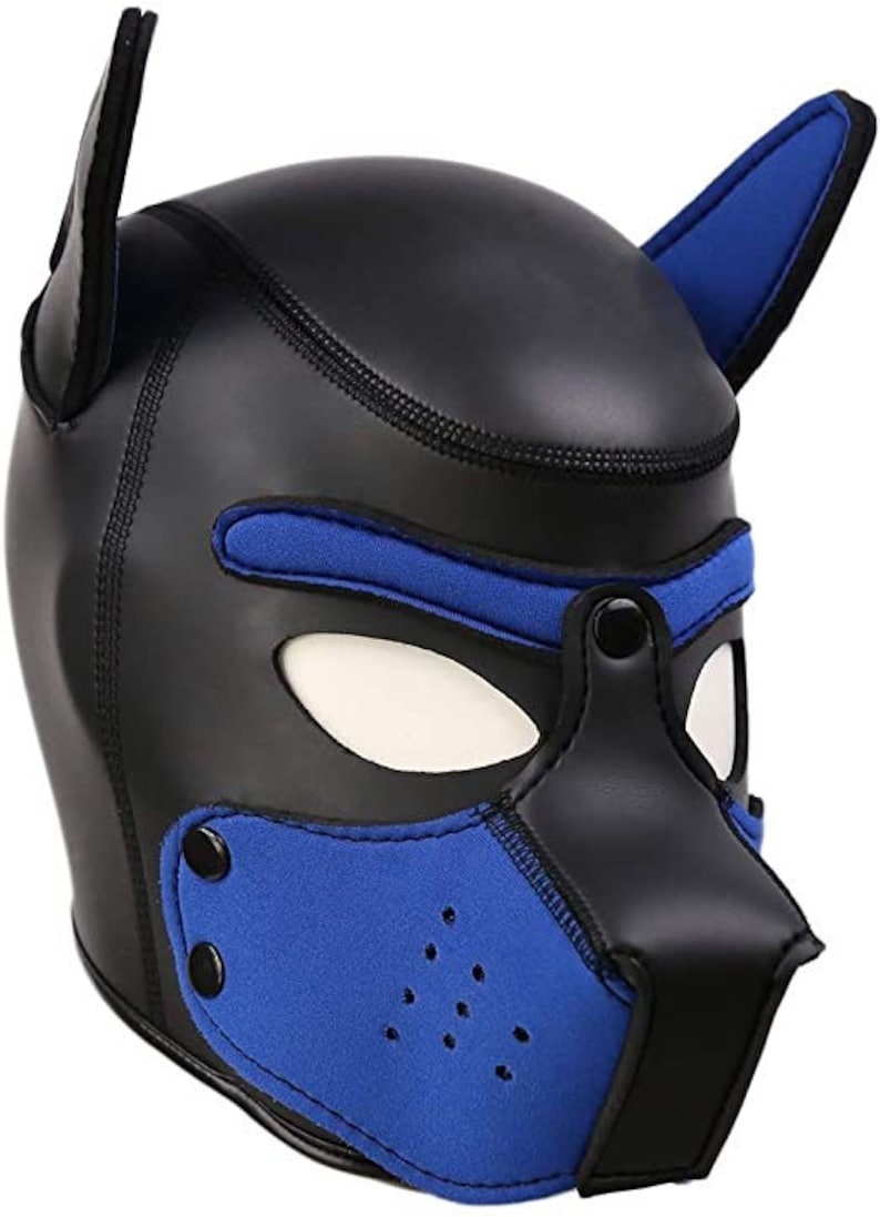 Neoprene Pup Hood | Etsy