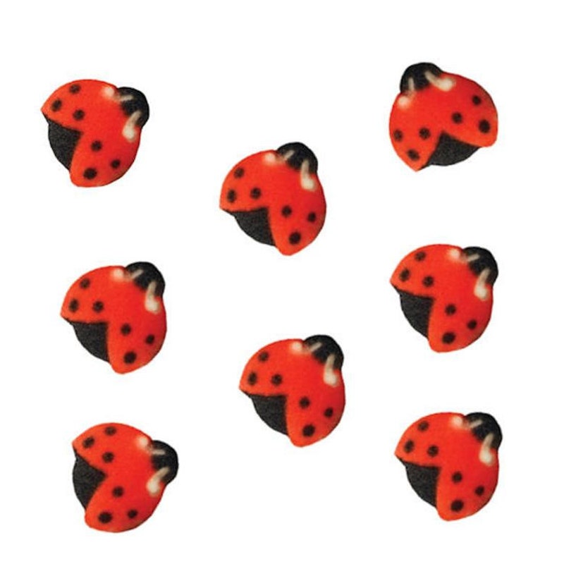 Ladybug Cookies - Etsy