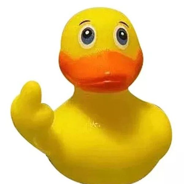 Naughty Rubber Ducks - Etsy