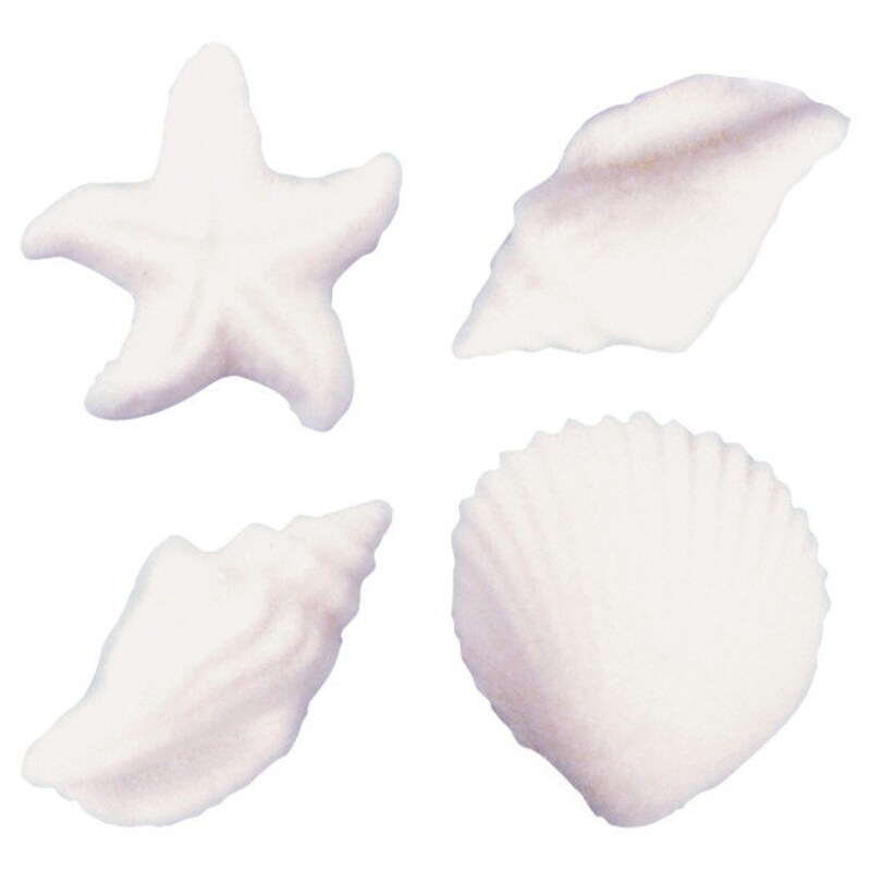 Edible Sea Shells - Etsy