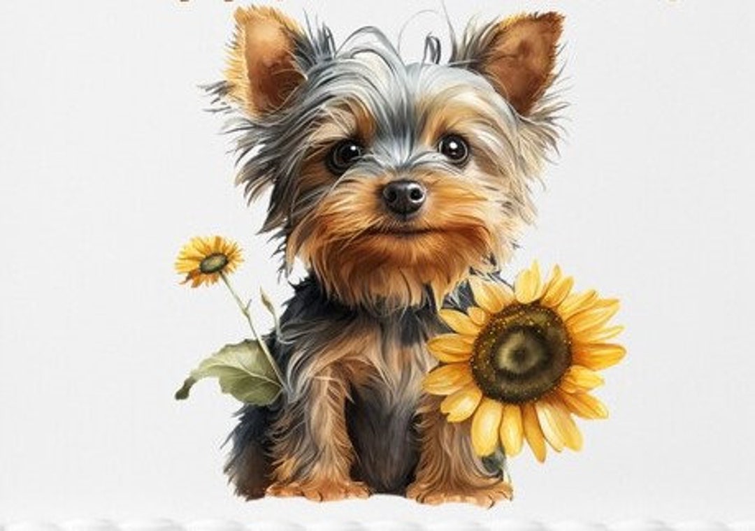 Yorkie Dog and Sunflowers Edible Cake Image Party Topper, Puppy Dog ...