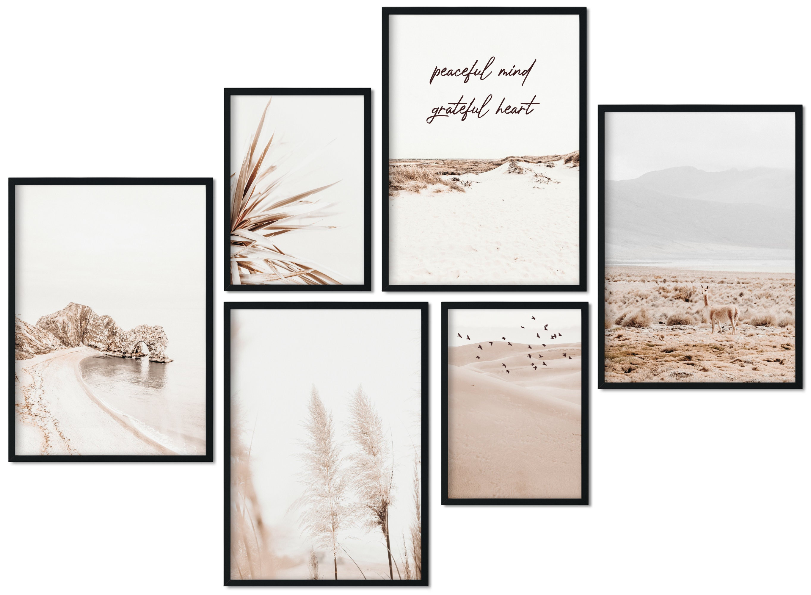 Pampas Poster Set as Living Room Decoration | 4x A3 + 2x A4 Wall Art ...