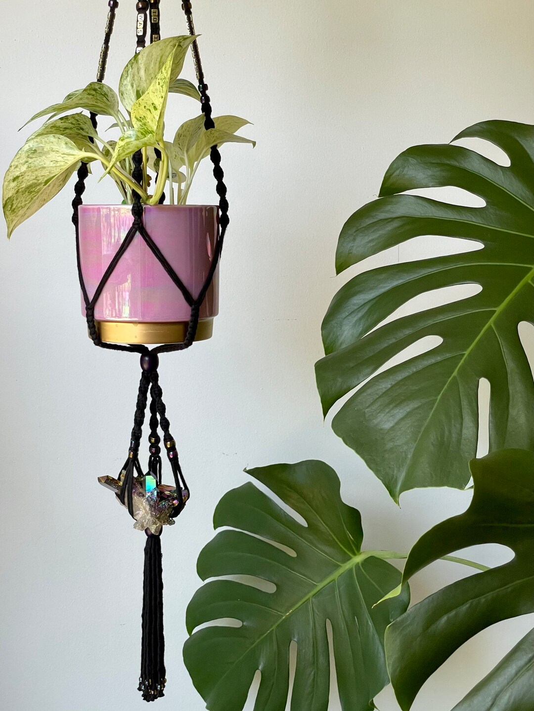 Crystal Anchor Phish Hang - LIZARDS "the Trick Was to Surrender to the ...