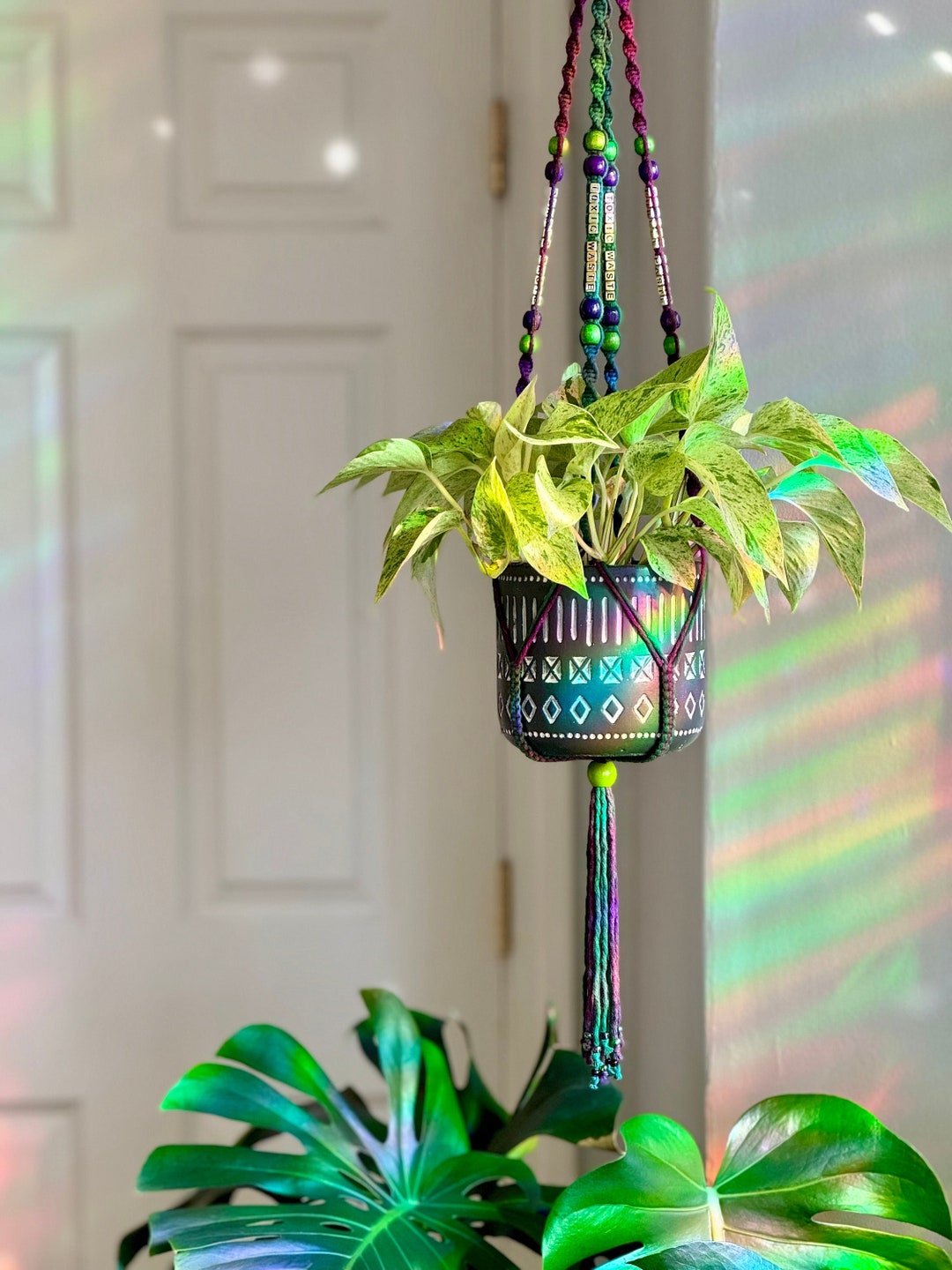 Phish Plant Hanger - REBA - “toxic Waste / Purple Paste”, Purple and ...