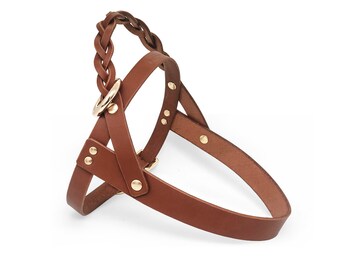 Brown Leather Harness - Etsy