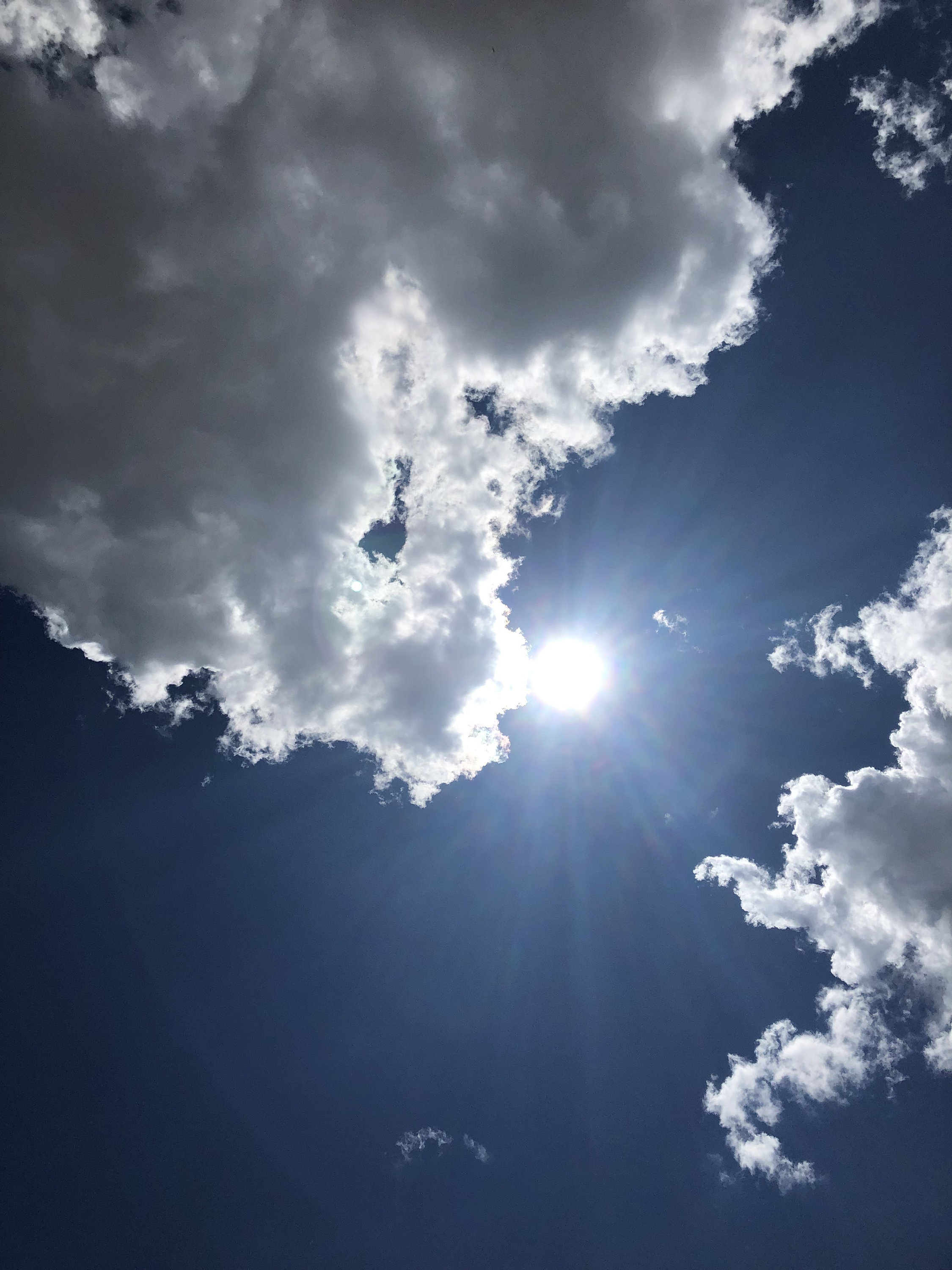 Sunshine Tumblr Photography