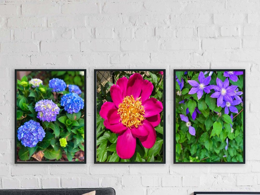Colorful Flower Photo Print Bundle - Etsy