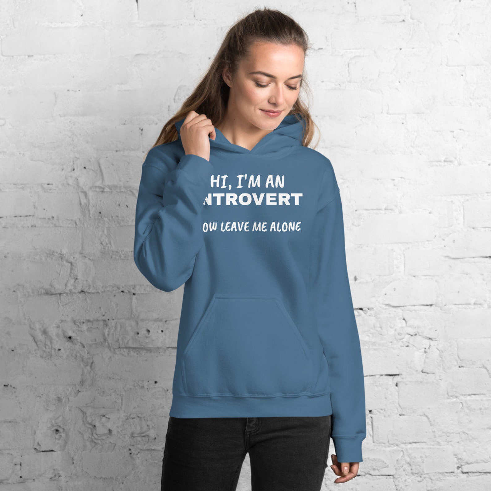 Hi I'm an Introvert Hoodie, Funny Hoodie, Introvert Hoodie, Meme Hoodie ...