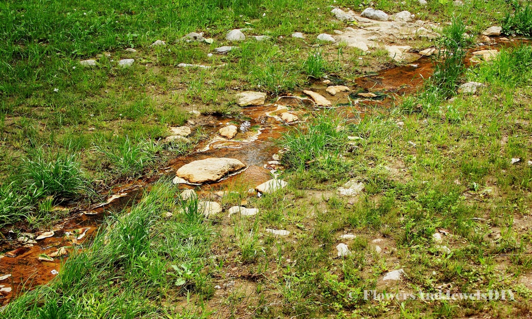 Printable Stream Background, Grass Background, Water Background, Living ...