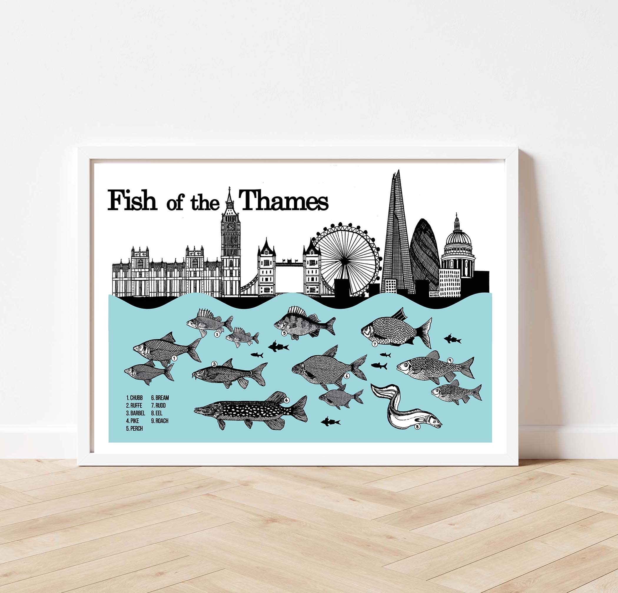 Fish of the Thames Illustrated Print - Etsy