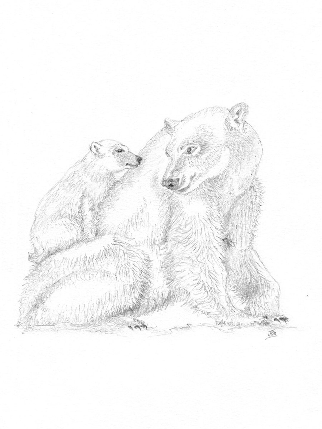 Mama Polar Bear and Cub Canvas Pencil Drawing Wall Hanging - Etsy