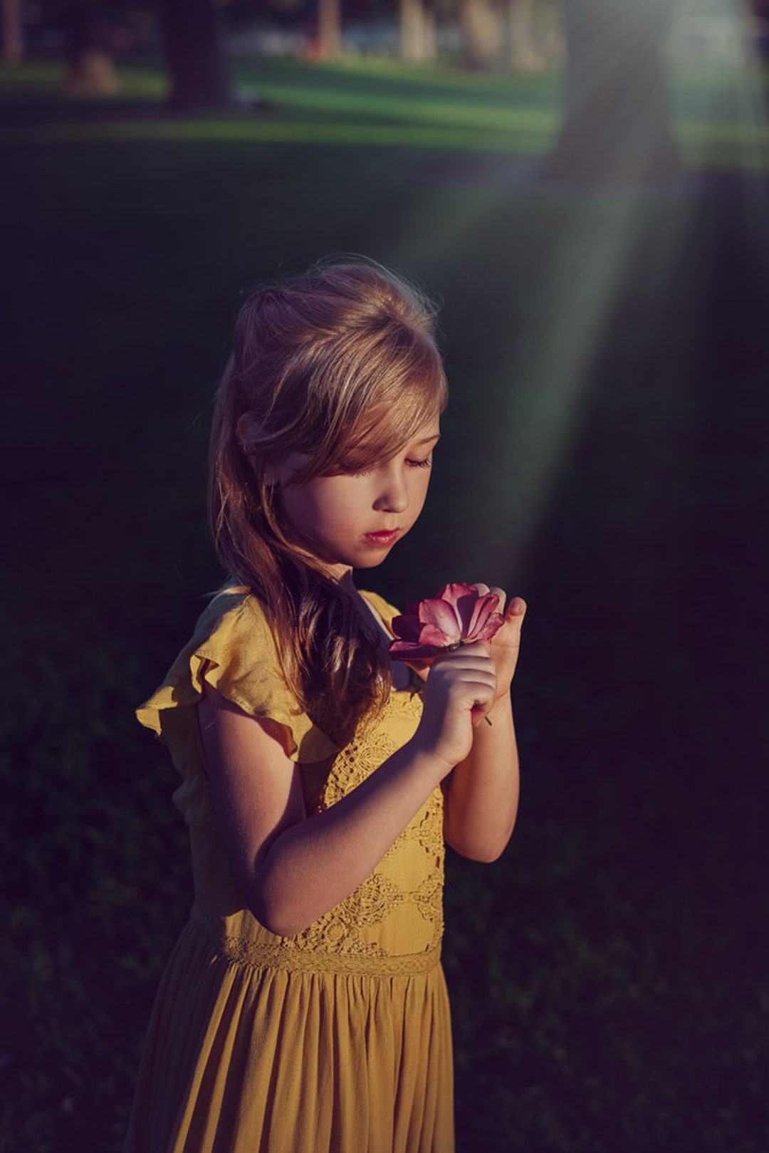 Sunbeam Photo Edit: Before and After - Etsy