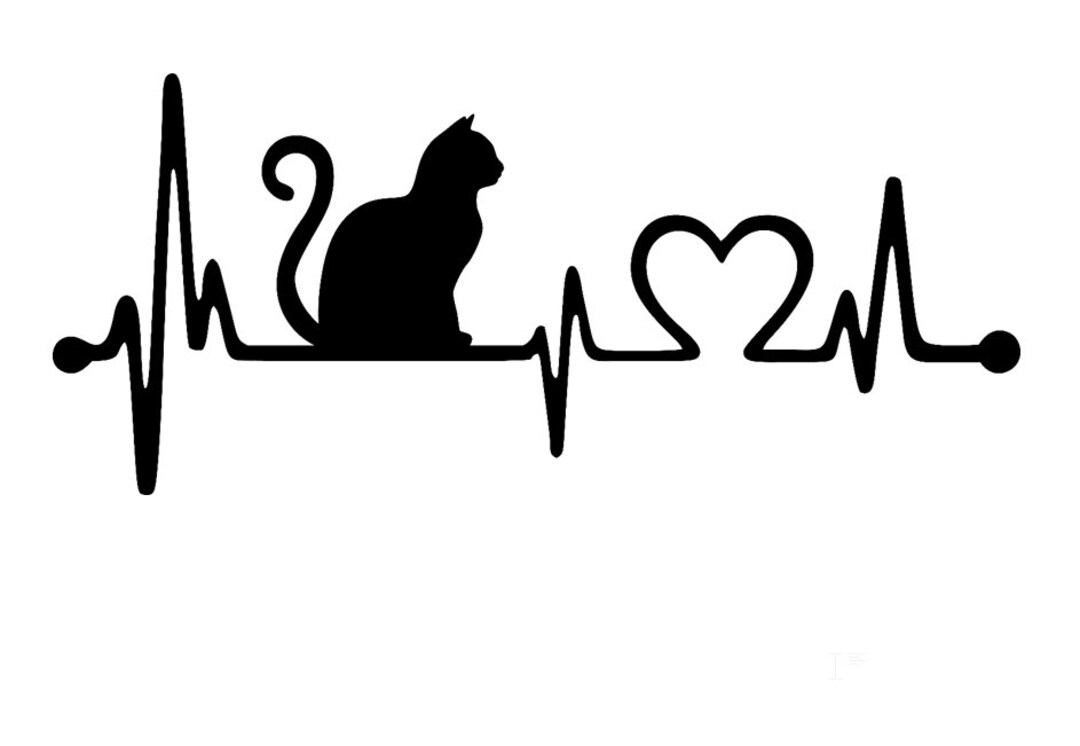 Cat Heart Beat Permanent Vinyl - Etsy