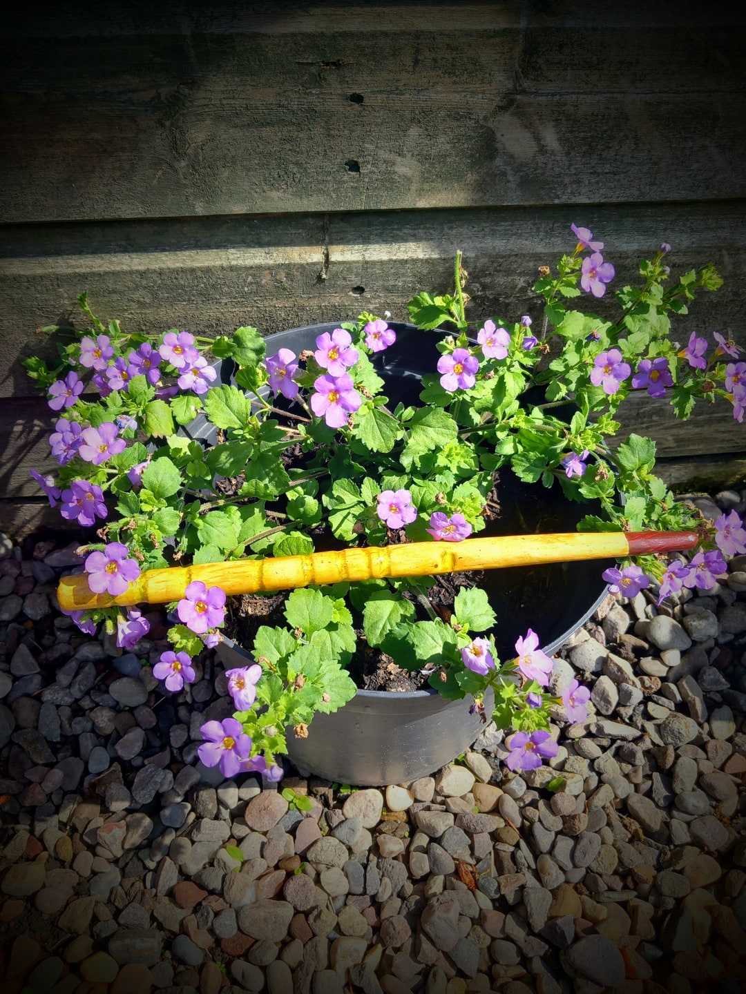 Kids wispy Wasp Wand - Etsy