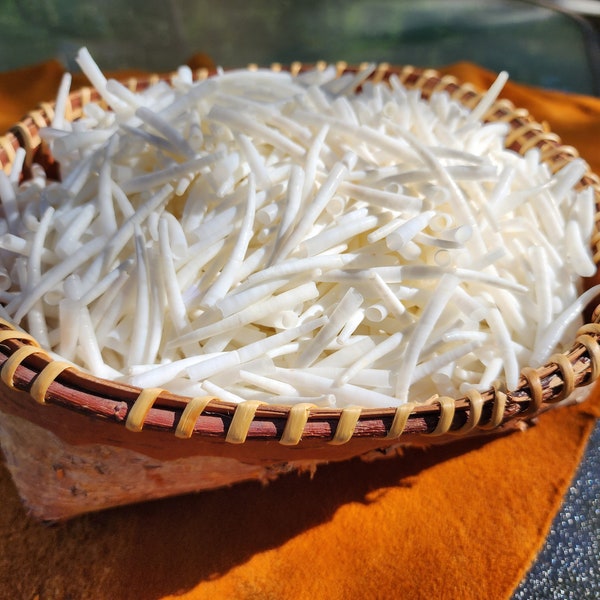 Dentalium Shell - Etsy