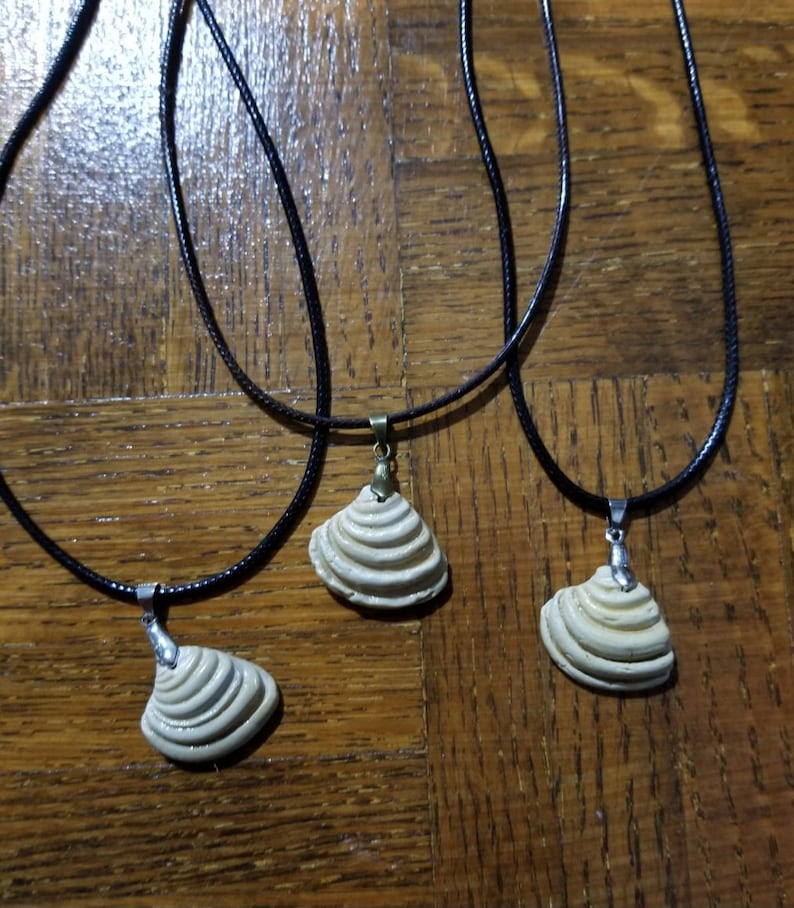 Pawleys Island Imperial Venus Shell Necklace - Etsy