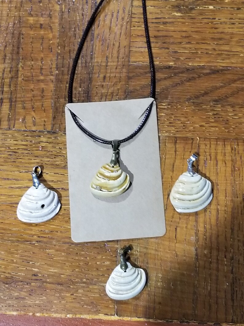 Pawleys Island Imperial Venus Shell Necklace - Etsy