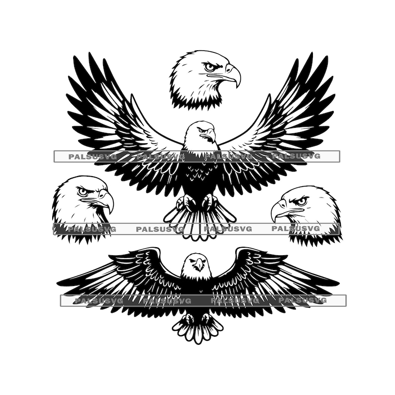 Bald Eagle Vector Design Set | SVG, EPS, Dxf, Png, Pdf for Cricut ...