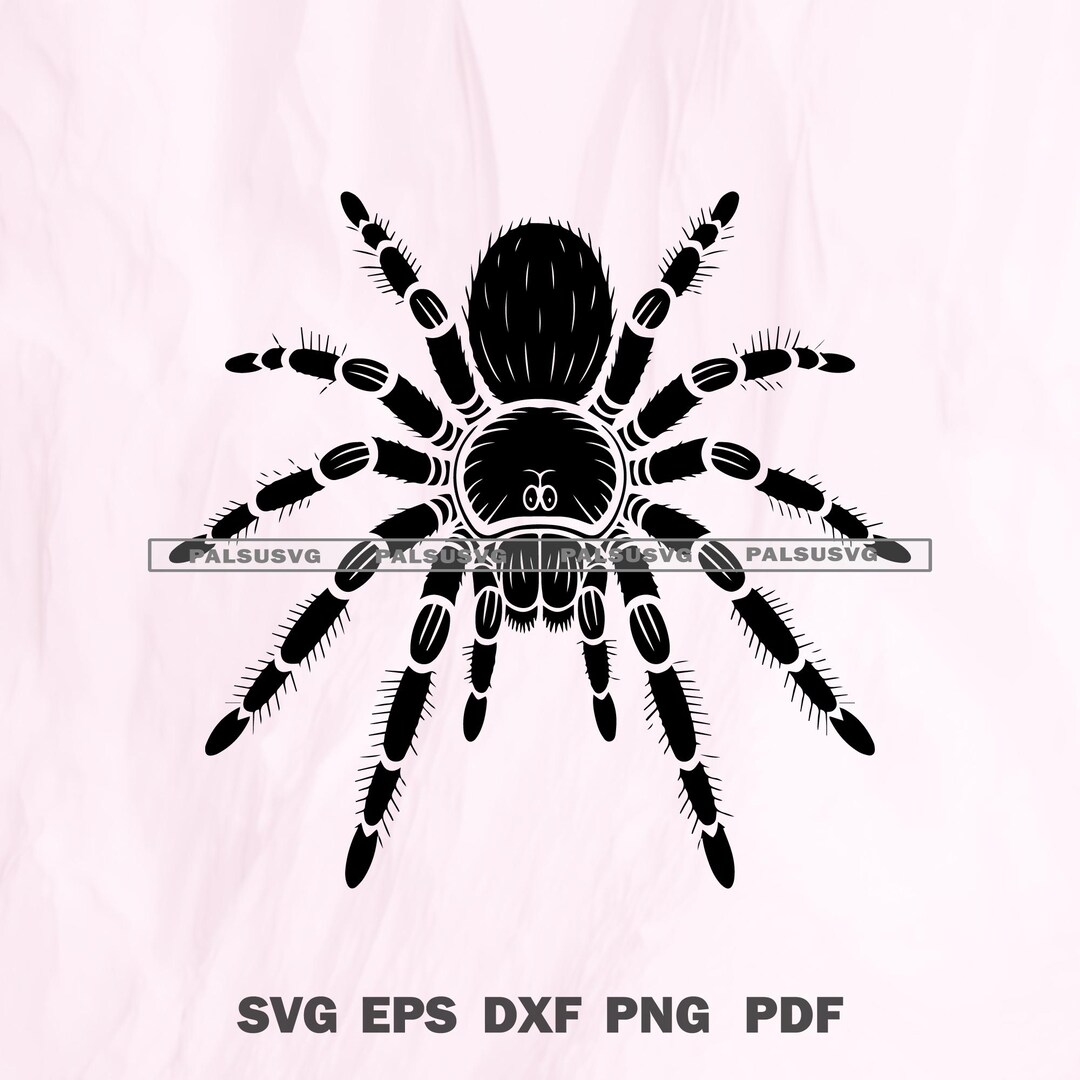 Tarantula Spider SVG | Creepy Crawly Cut File | Spooky Insect Design ...