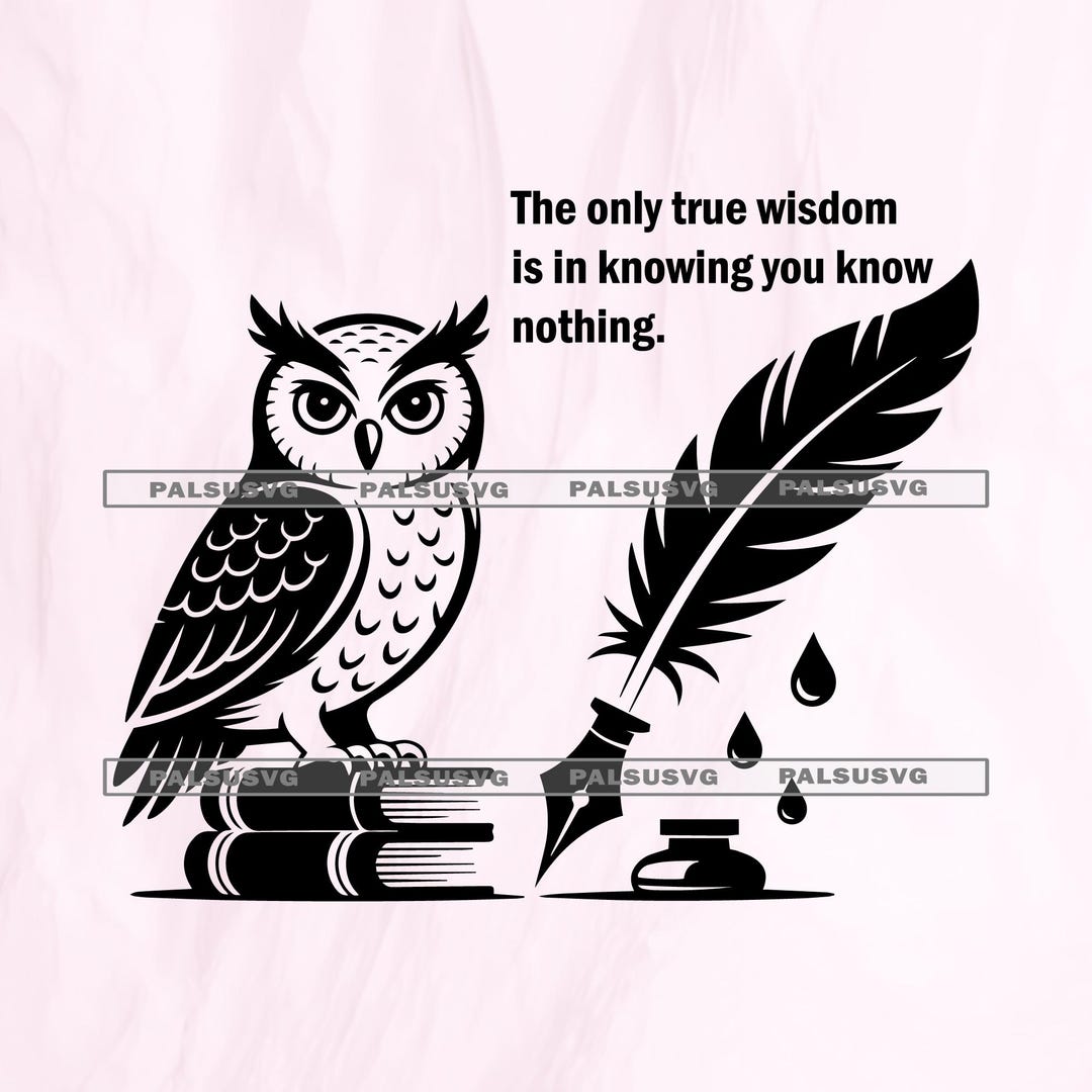 Wisdom Owl SVG – Socrates Quote Cut File (digital Download) - Etsy