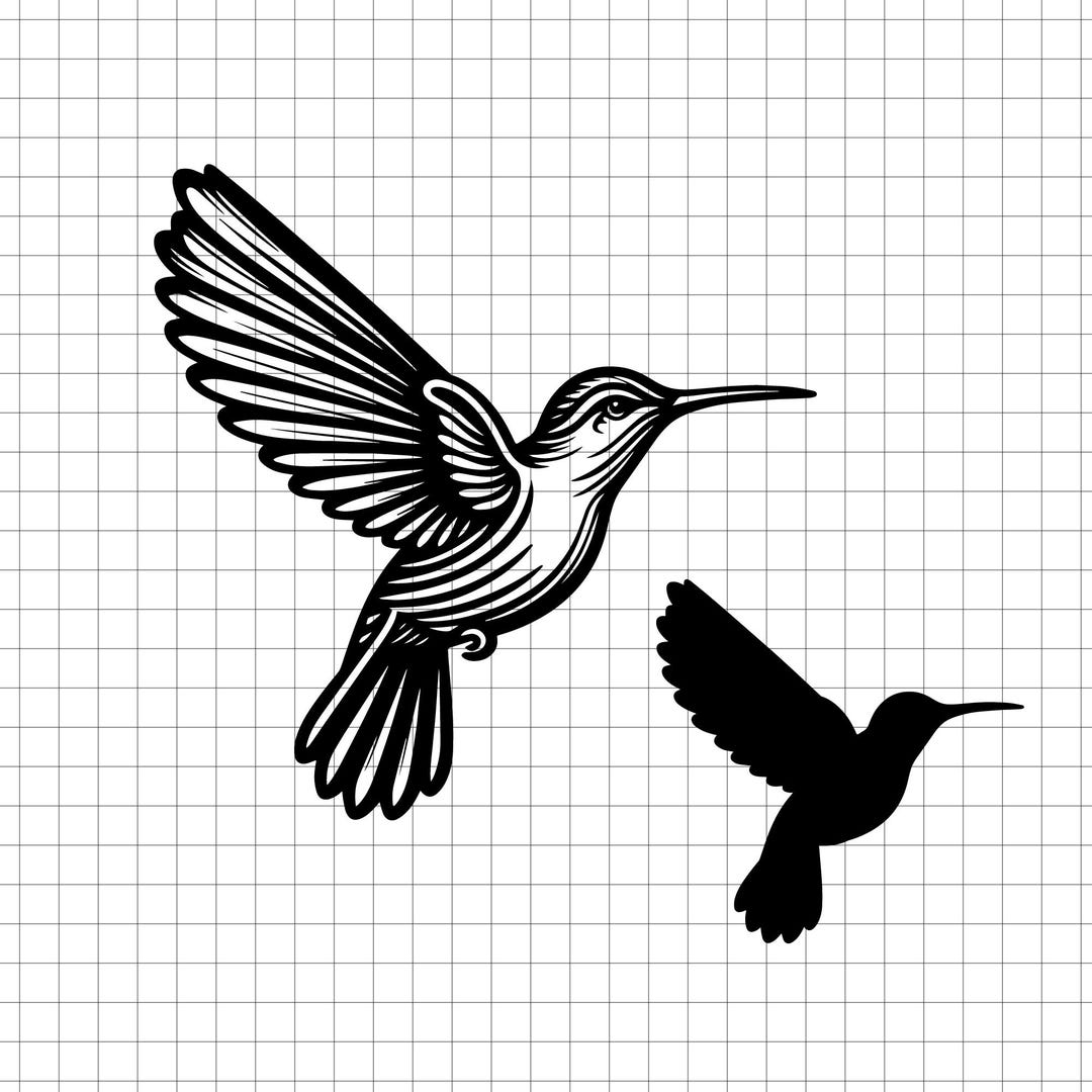 Hummingbird SVG, Hummingbird PNG, Hummingbird Cut File, Hummingbird ...