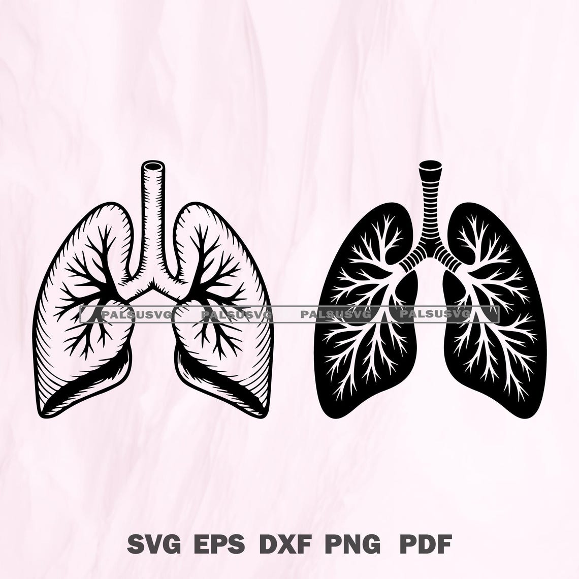 Anatomical Lung SVG | Medical Clipart, Cricut Cut File (digital ...