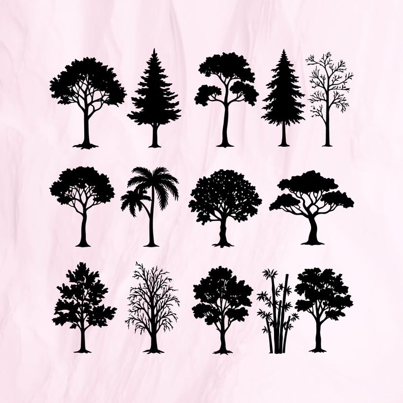 Tree Bundle Svg, Tree Vector, Tree Cricut, Tree Png, Tree Clipart, Tree ...