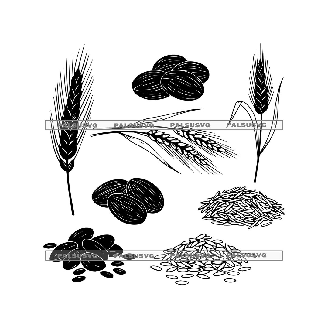 Grain SVG Bundle | Cricut & Silhouette Cut Files, Instant Download - Etsy