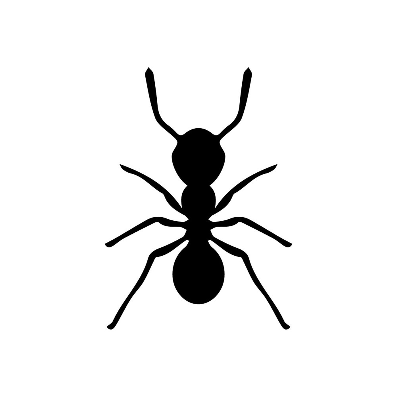 Ant Svg, Bug Svg, Insect Svg. Vector Cut File for Cricut, Silhouette ...