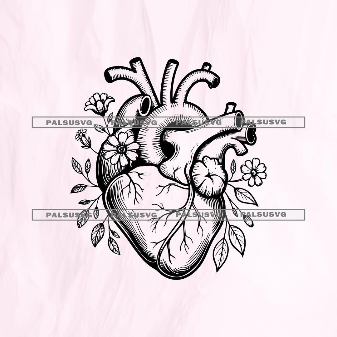 Anatomical Heart SVG – Floral Human Heart Cut File (digital Download ...