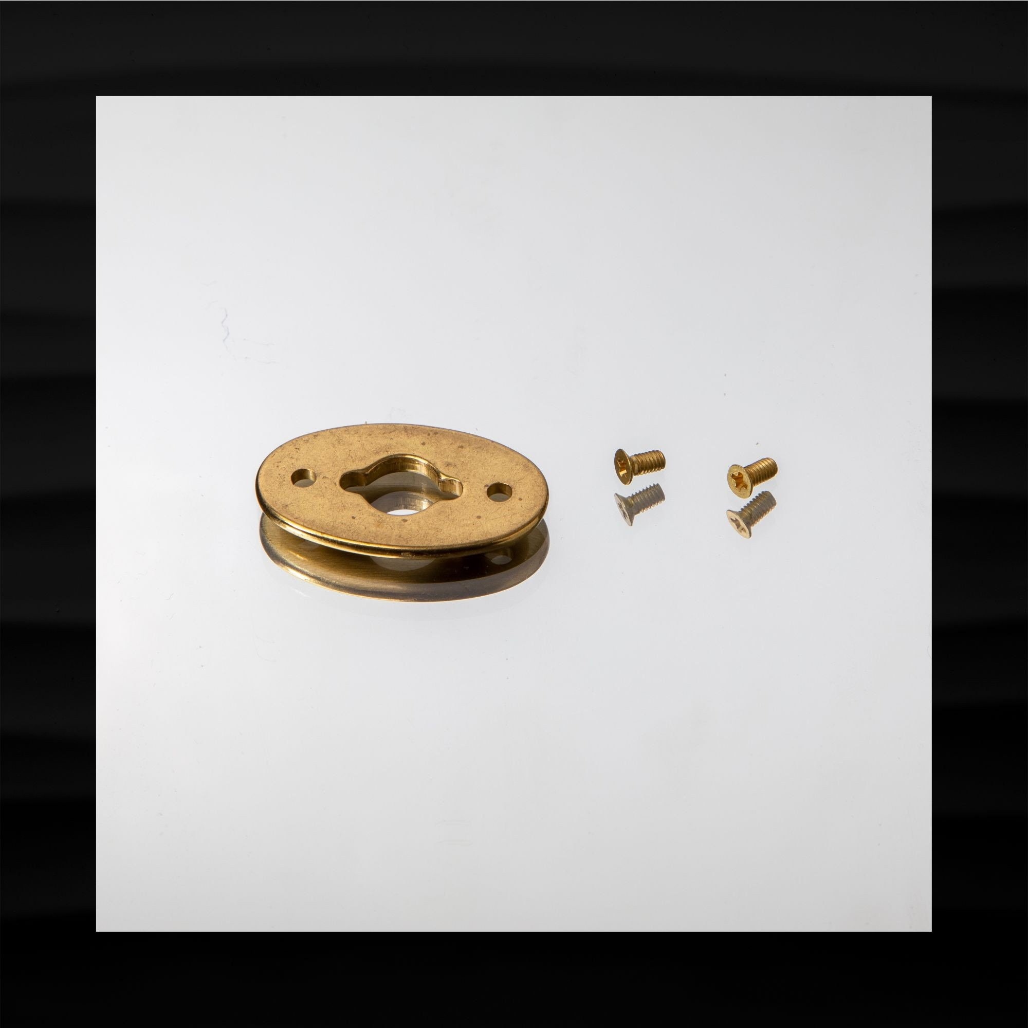 NEW COACH VINTAGE Gold Brass Oval Turnlock Plate and Screws Replacement ...