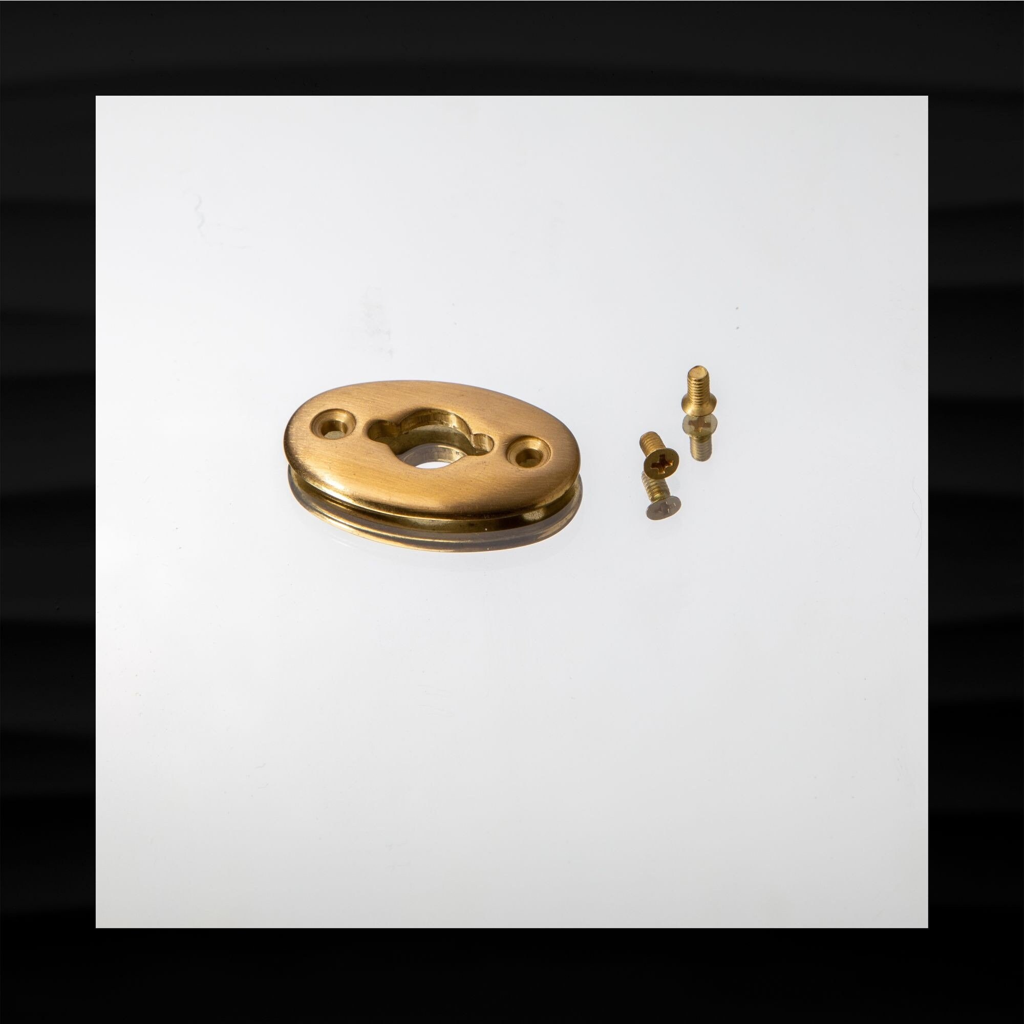 NEW COACH VINTAGE Gold Brass Oval Turnlock Plate and Screws Replacement ...