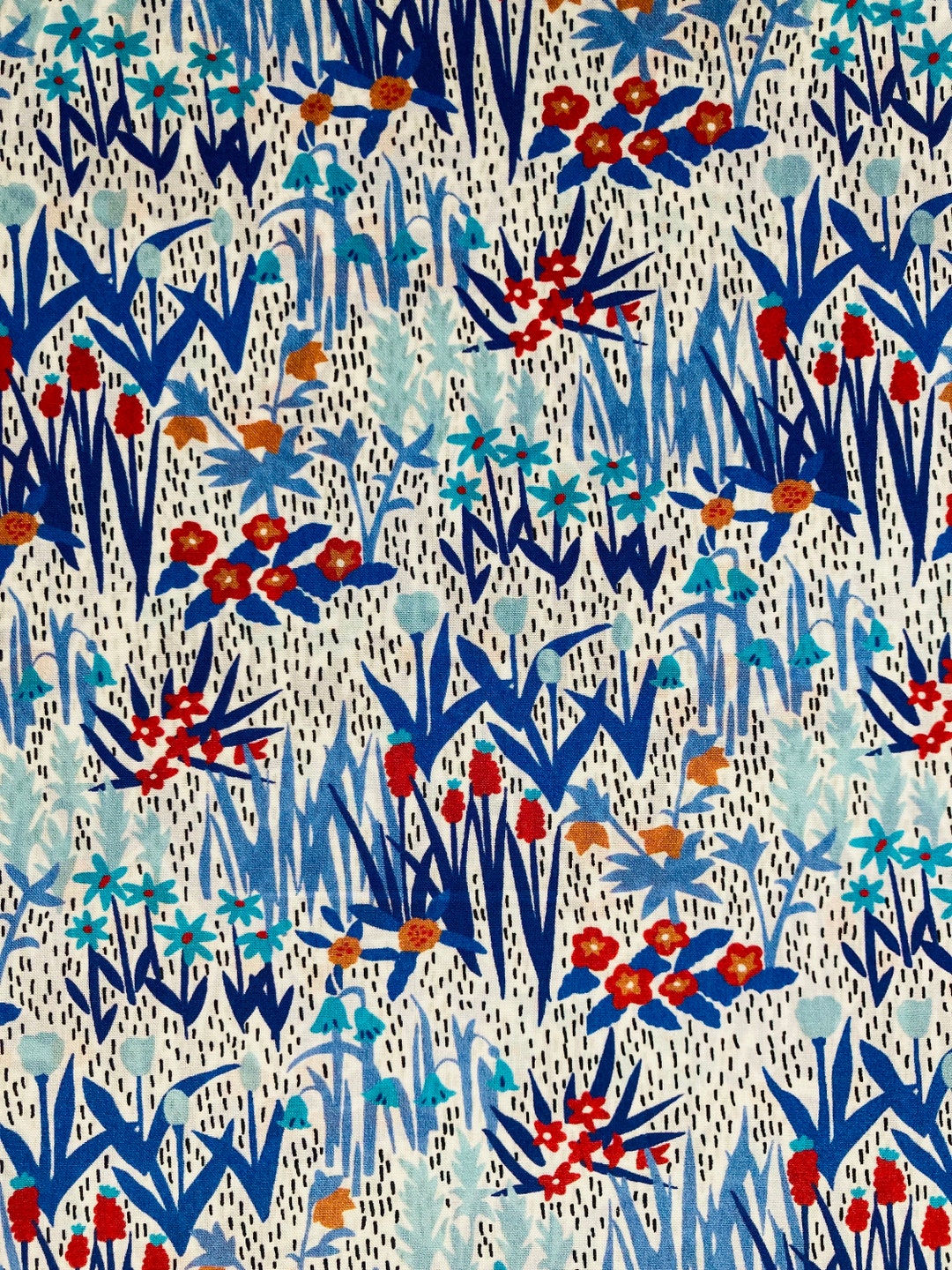 A Beautiful Blue and Red ‘april Showers’ Liberty Tana Lawn 13”x 9 ...