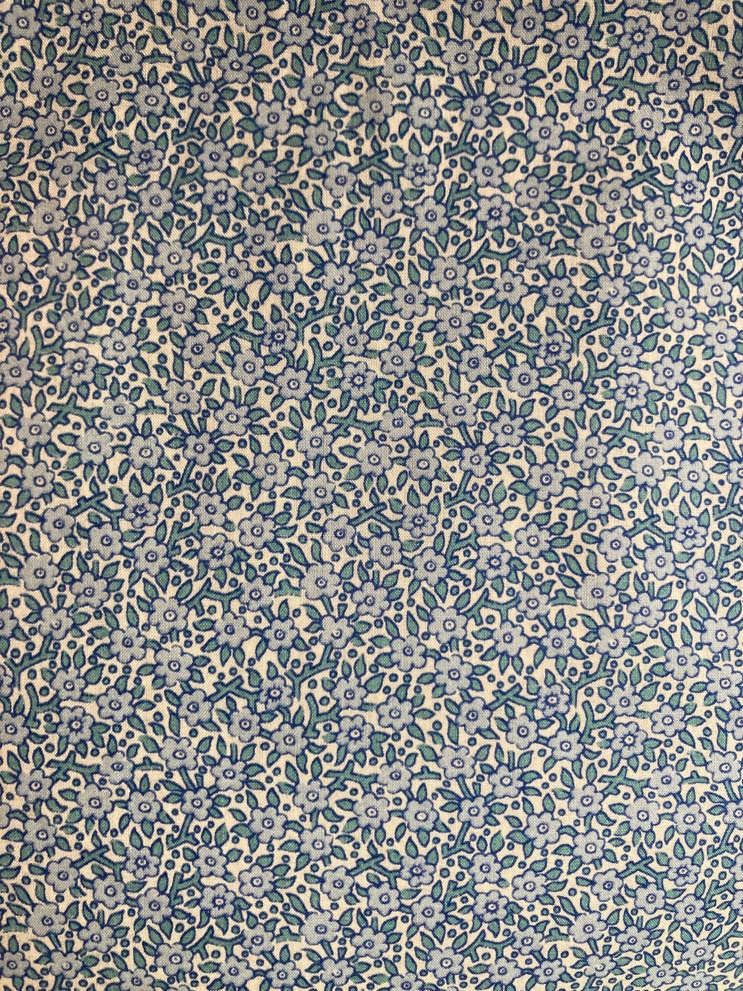 A Rare Colourway in This Gorgeous Liberty Tana Lawn Blue and Green ...