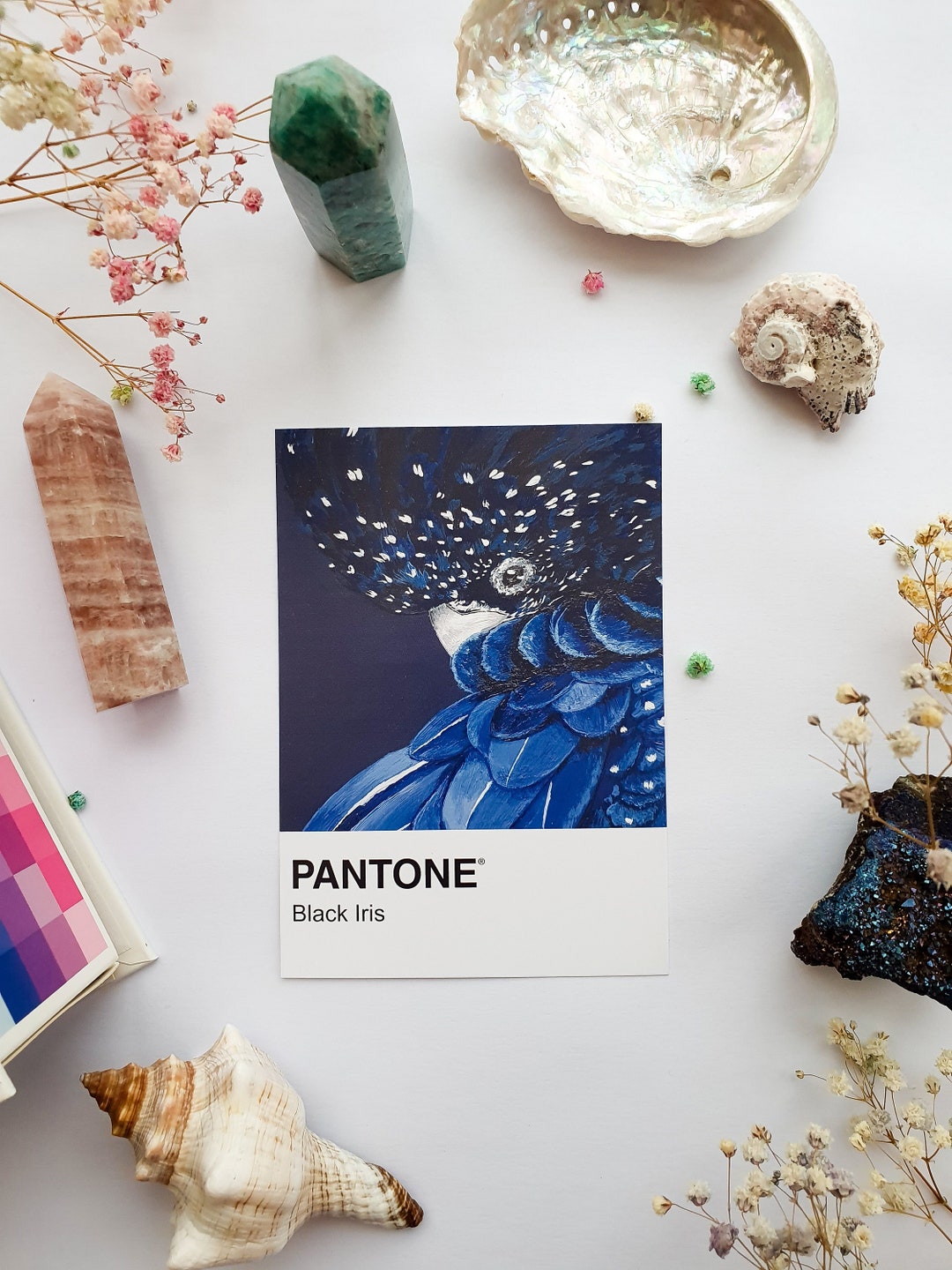 Black Iris Pantone Postcard Print / Original Artwork / A6 - Etsy