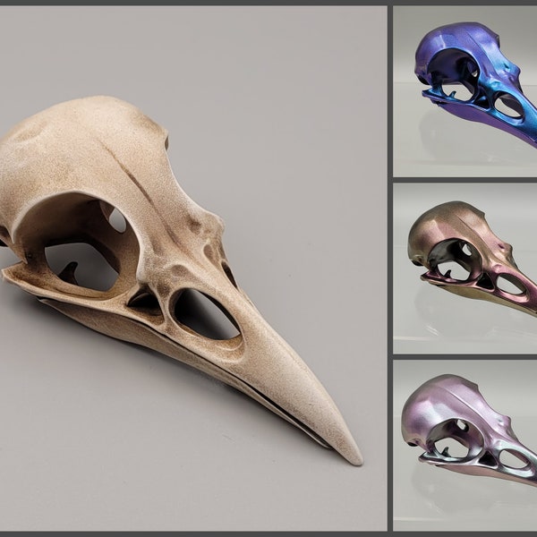 Skull Crow - Etsy