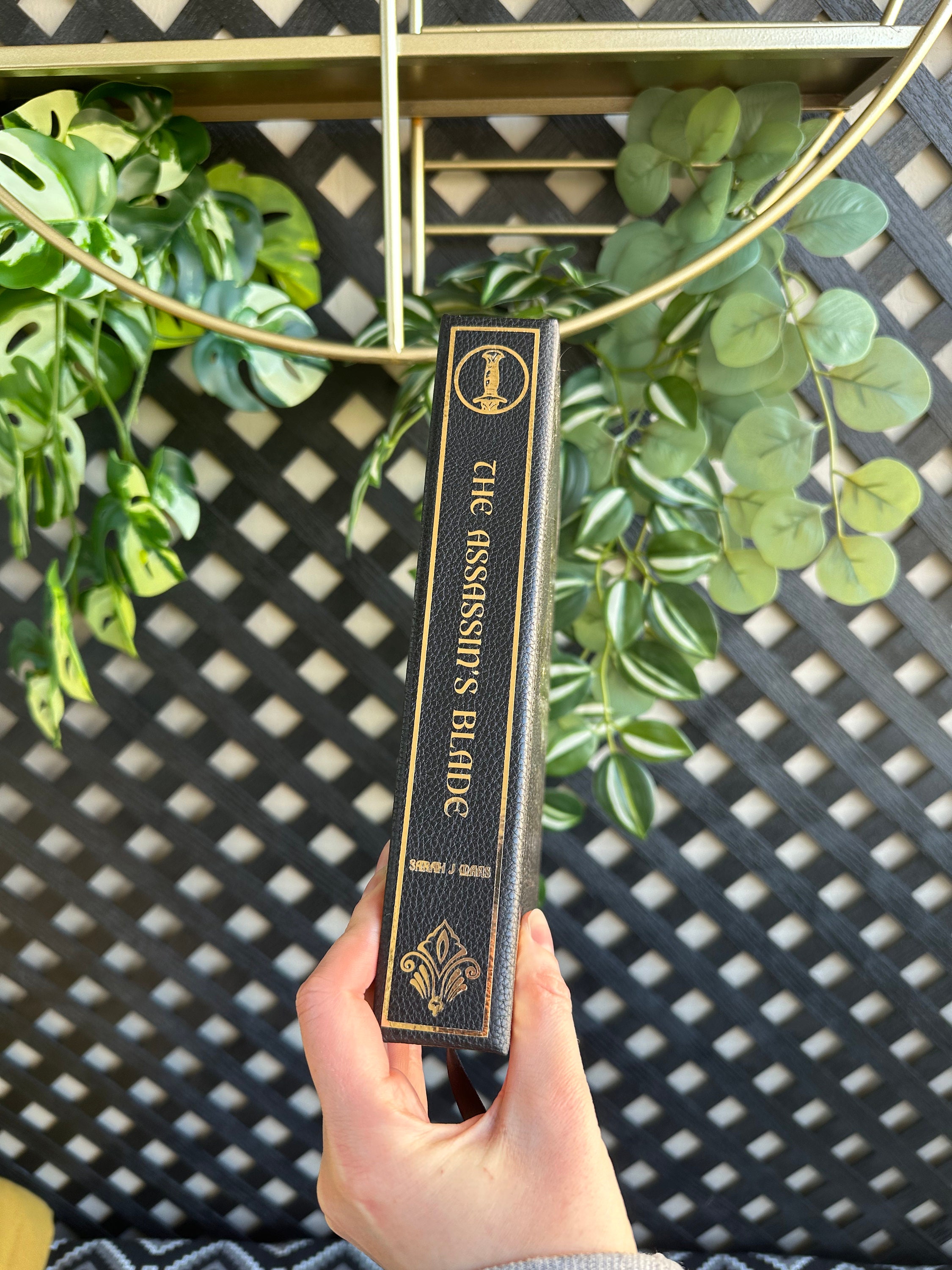 The Assassin's Blade Bookbinding Cover Design PNG File, Throne of Glass ...