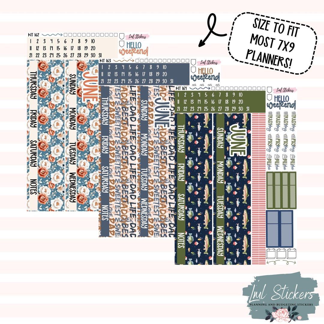 June 2025 Monthly View Stickers for Planners – Expense Tracking ...