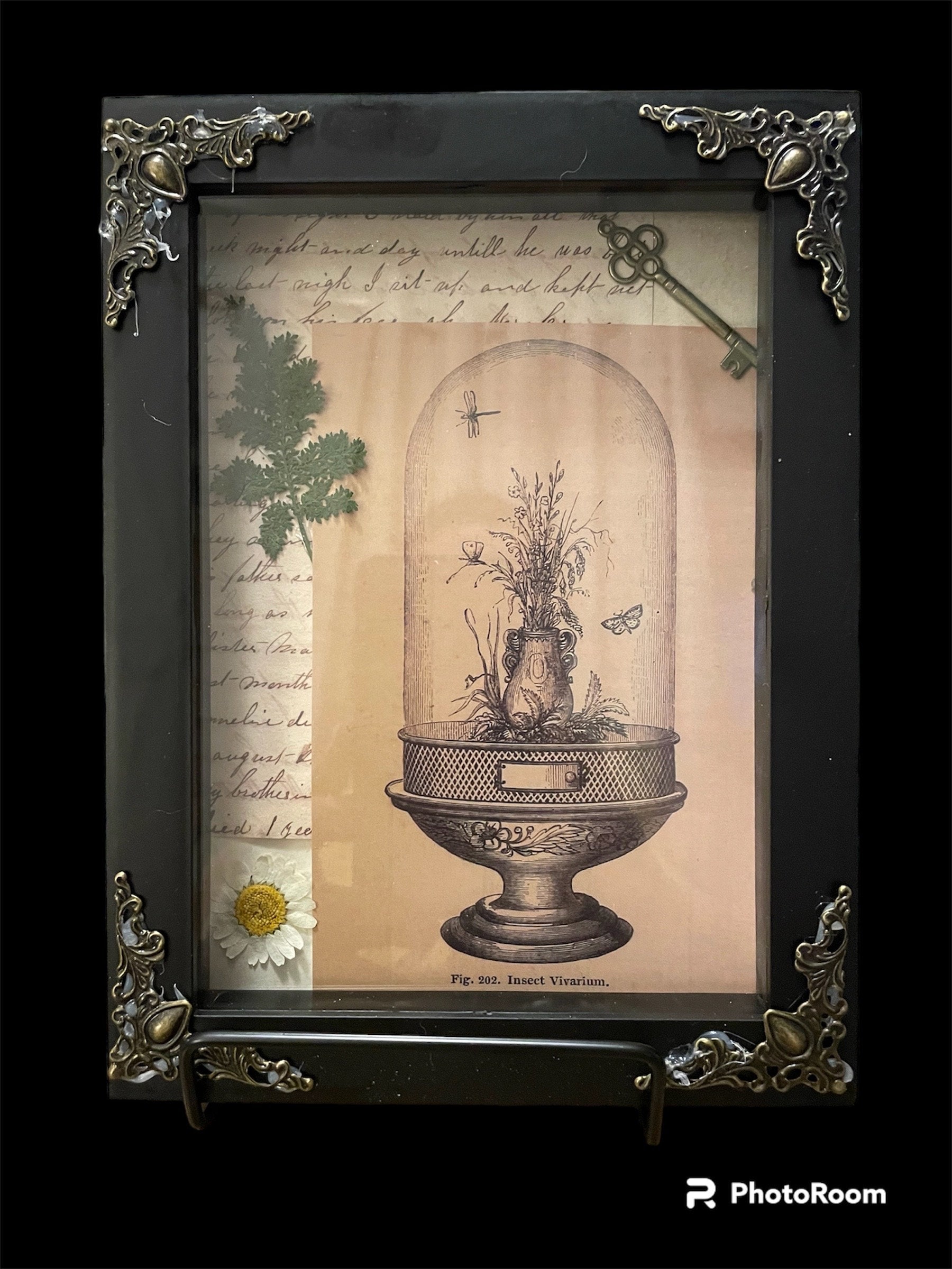 Vintage Insect Vivarium Shadow Box - Etsy