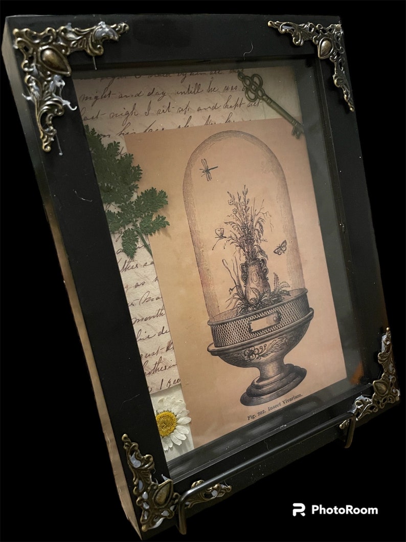 Vintage Insect Vivarium Shadow Box - Etsy