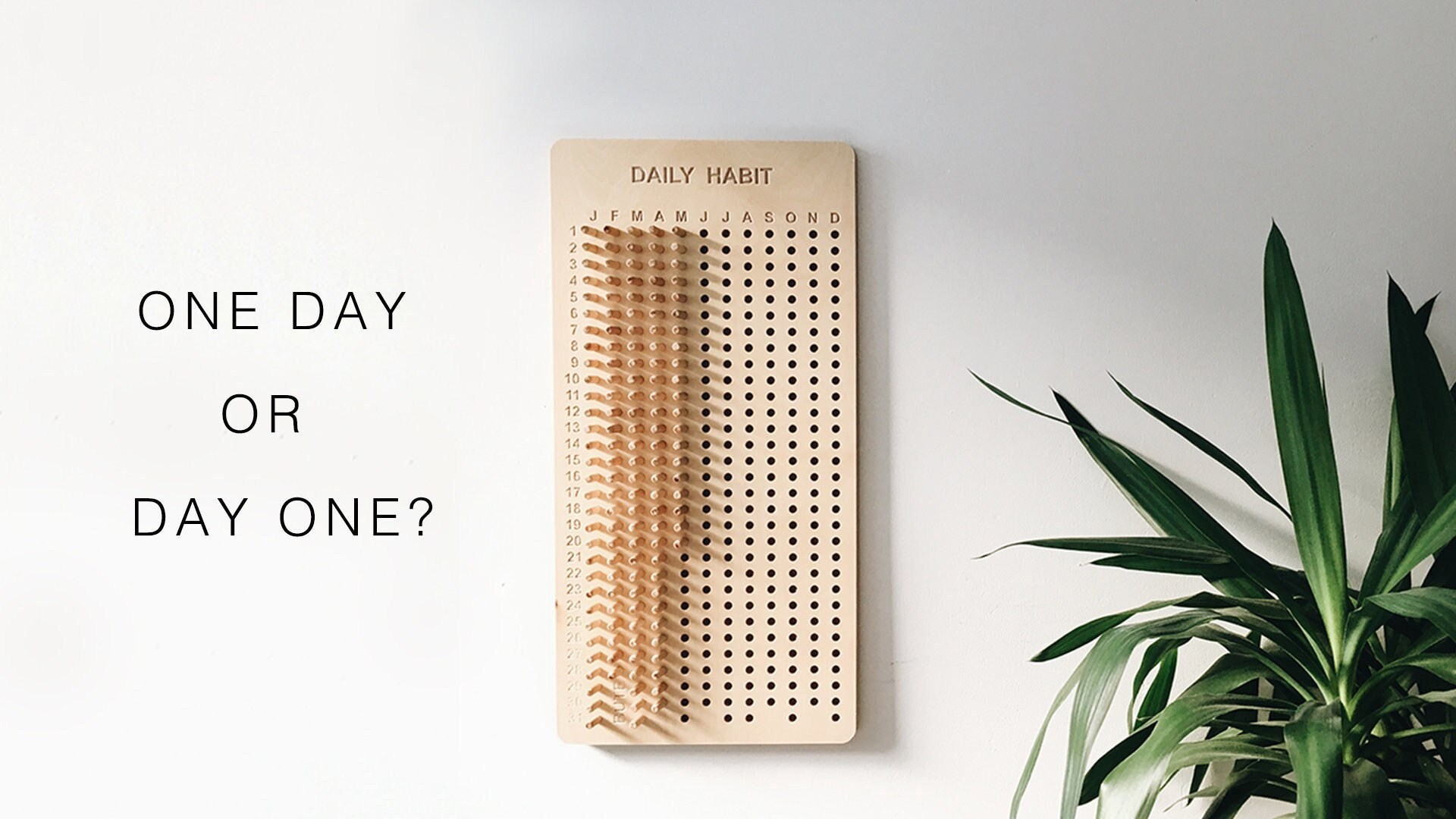 Daily Habit Tracker Board - Natural Clear Varnished Baltic Birch ...