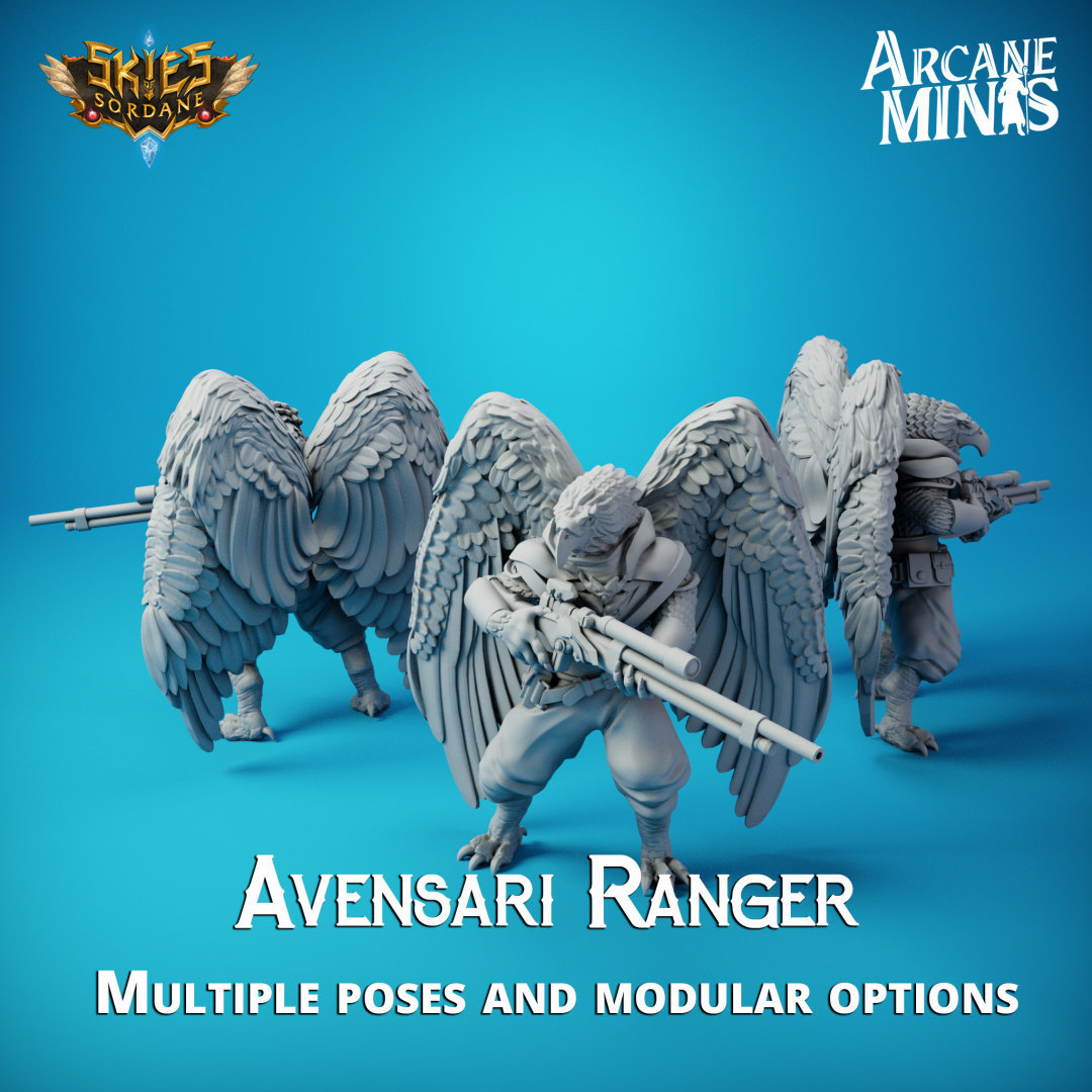 Aarakocra Ranger Avensari Ranger 32mm 28mm Miniatures - Etsy 日本