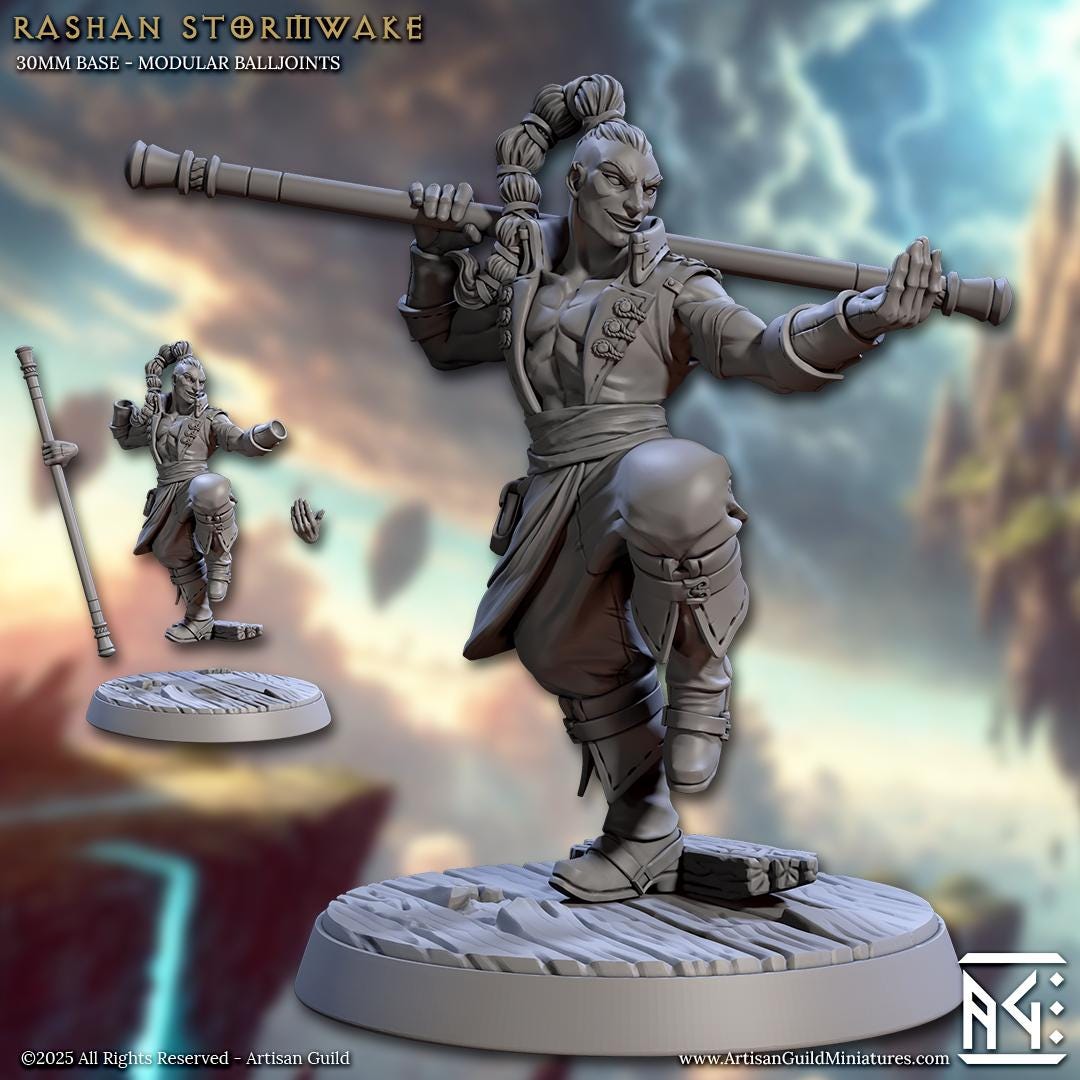 Rashan Stormwake - Human Monk Pirate - Raid Temple Zephyra - 28mm 3d ...